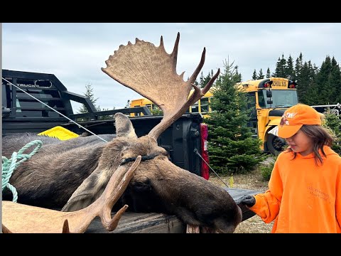 NETUKULIMK: Indigenous moose harvesting in Unama’ki | Indigenous ...