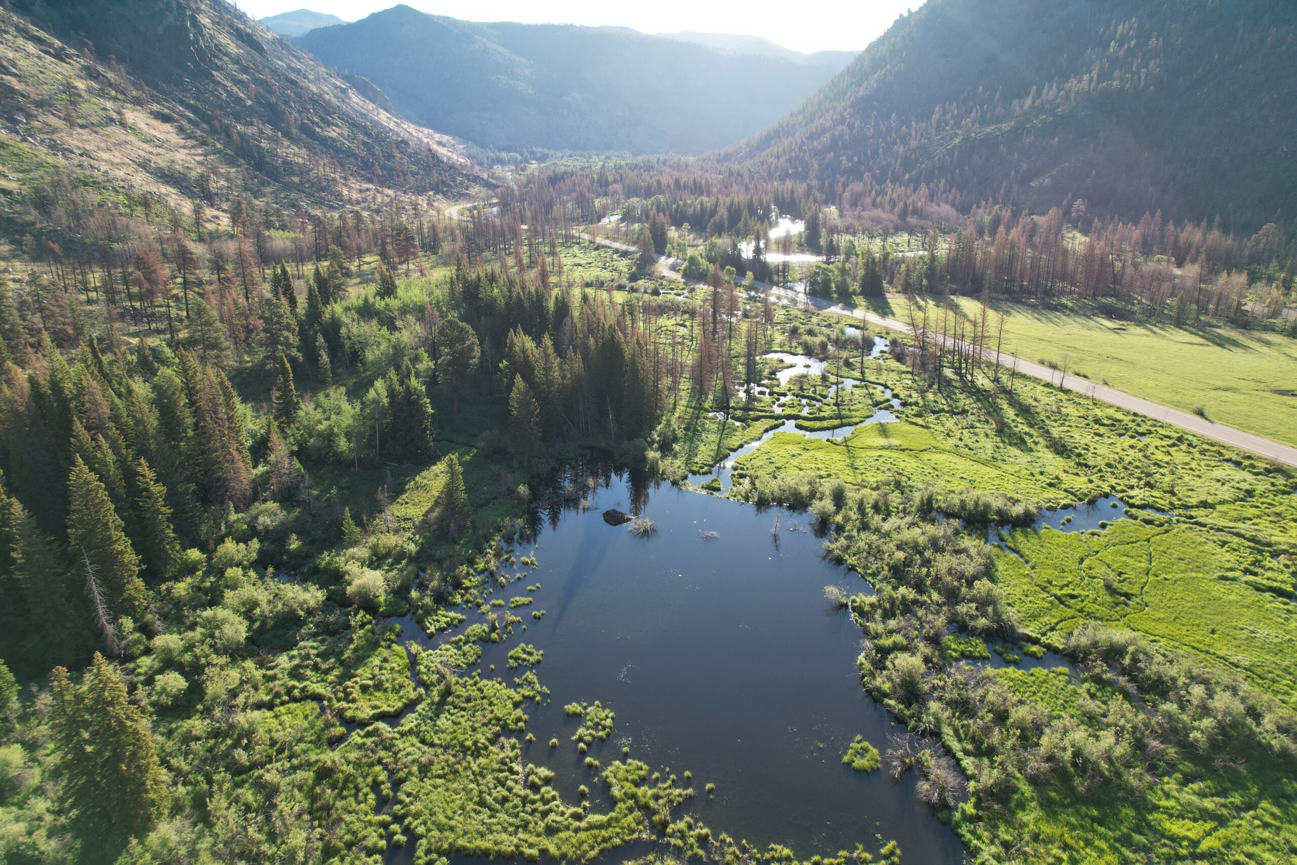 Making Home: A story of beaver and babies | Indigenous Resilience ...