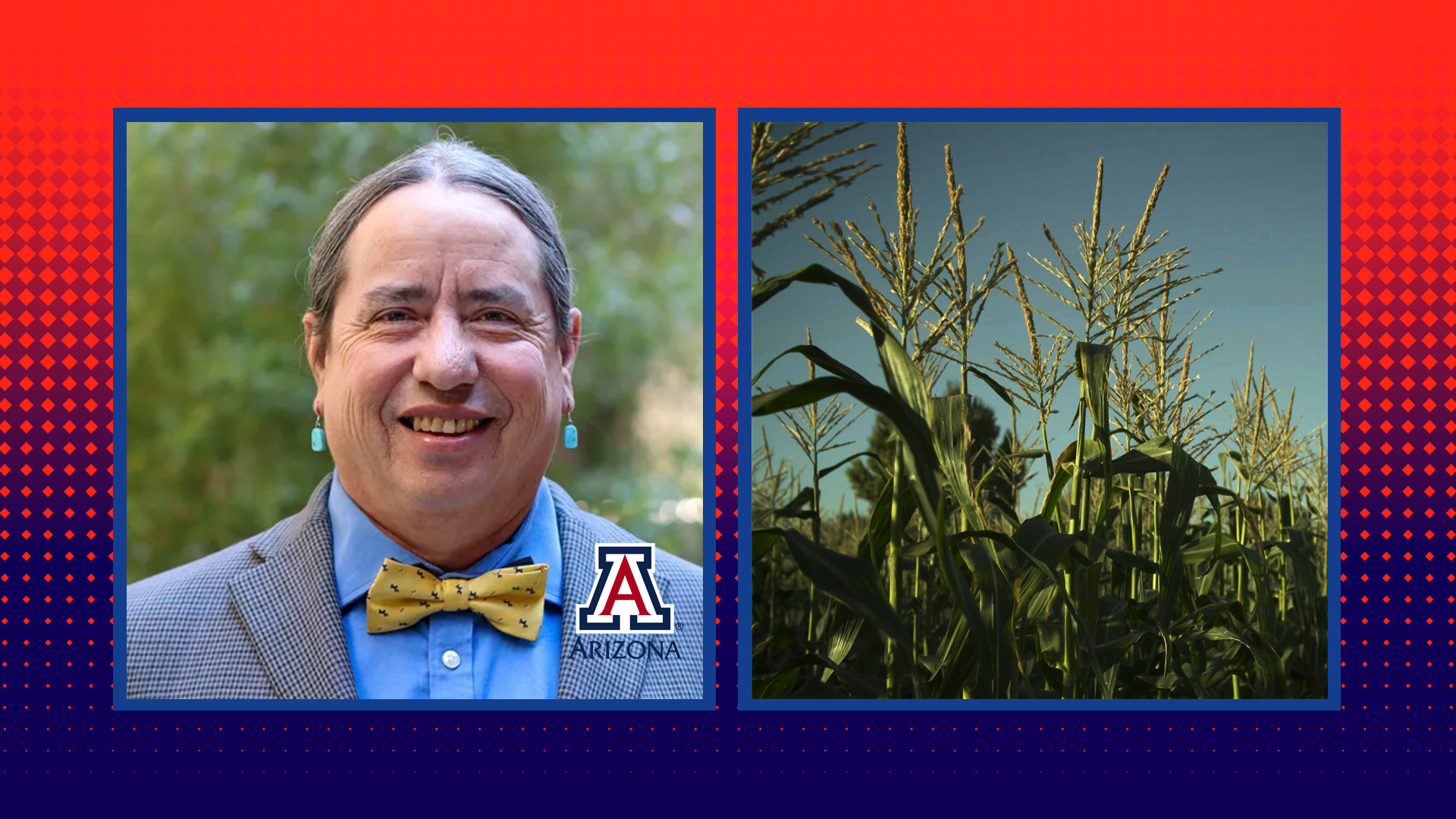 Using dryland farming techniques to grow crops in the Southwest ...